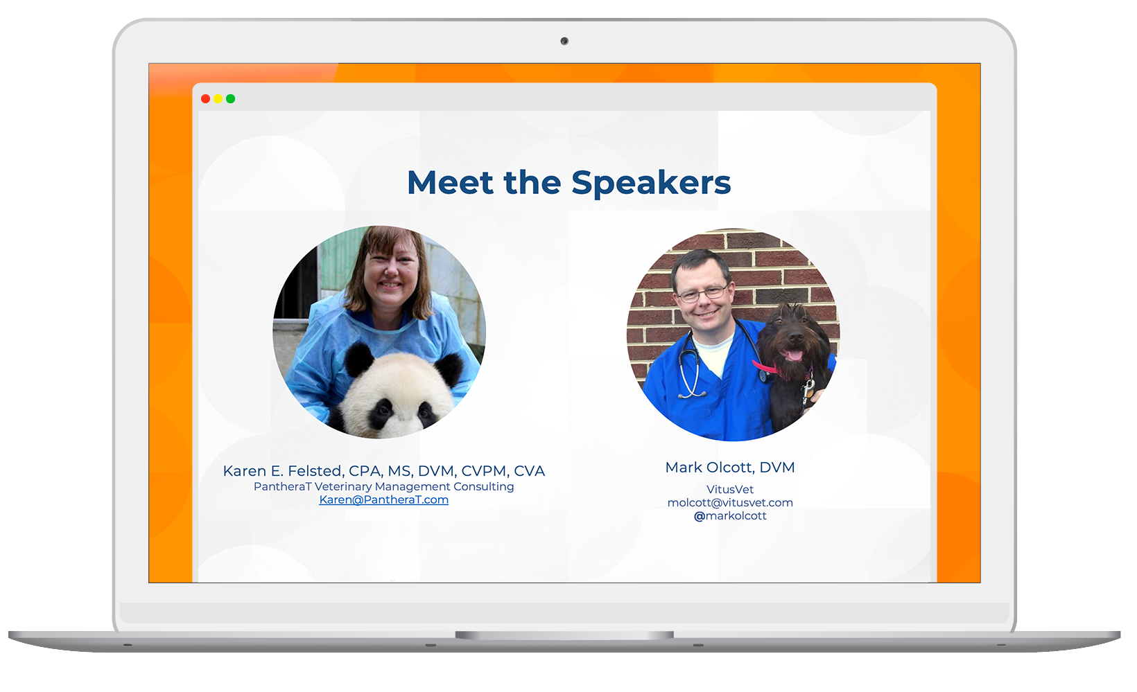 VitusVet Resources – Metrics shaping veterinary practice management