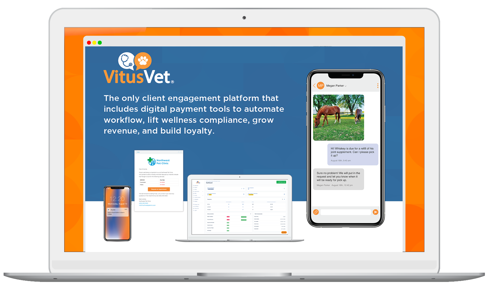 VitusVet Resources – VitusVet Tools for Equine Practices