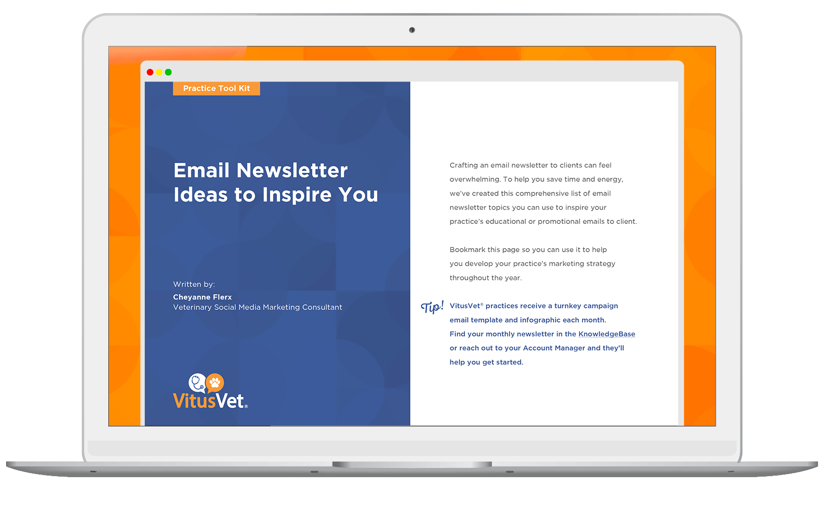 VitusVet Resources – Veterinary Client Email Ideas Book