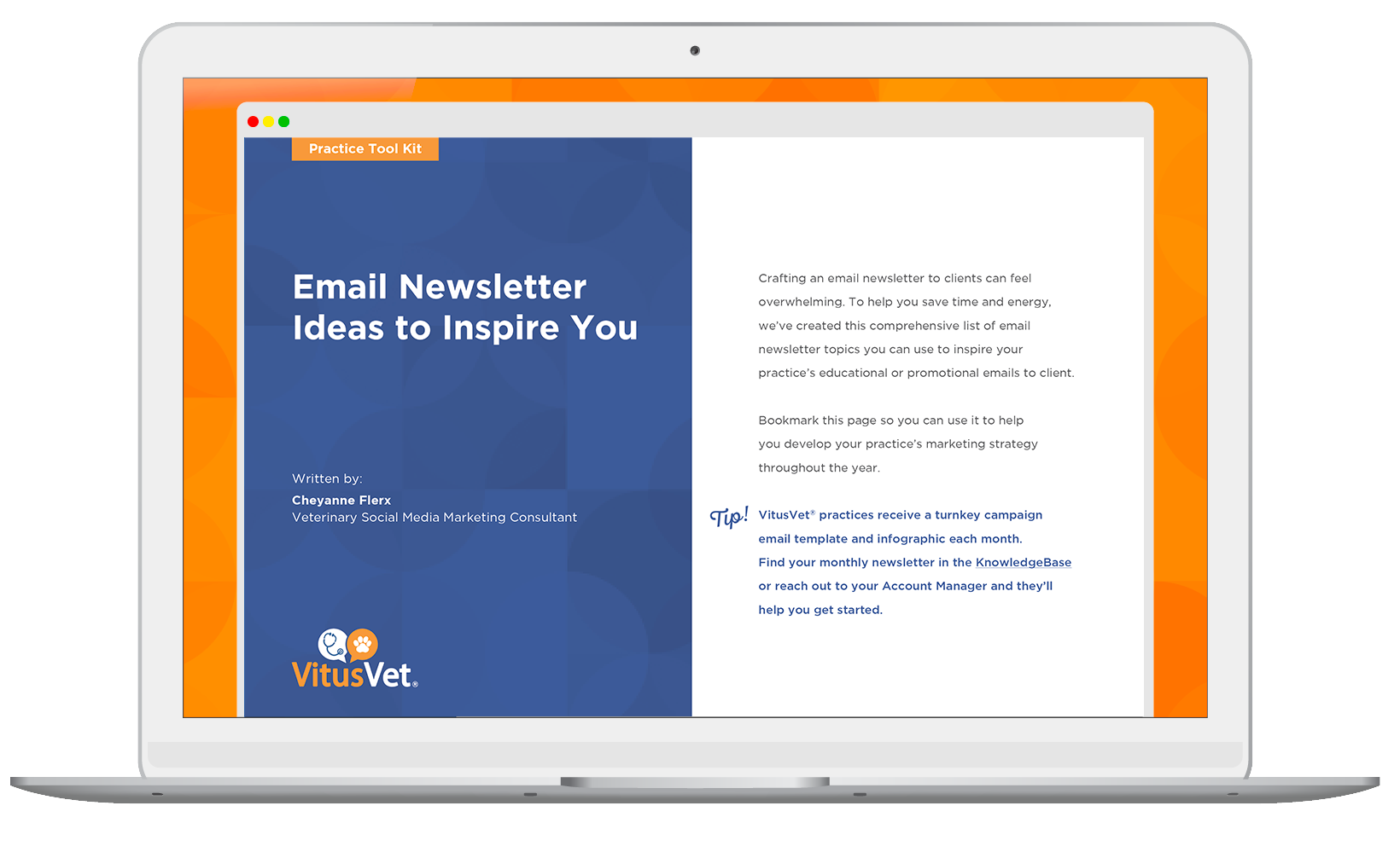 VitusVet Resources Veterinary Client Email Ideas Book vitusvet-resources-veterinary-client-email-ideas-book